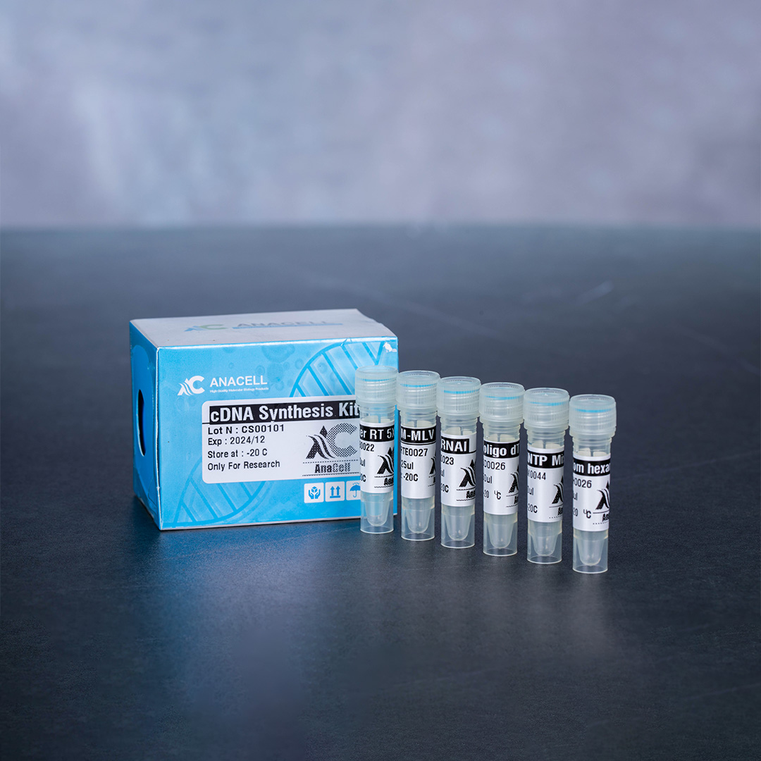 cDNA Synthesis Kit – AnaCell l شرکت آناسل